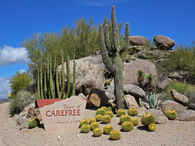 Phoenix Entry Monuments | Trevorland